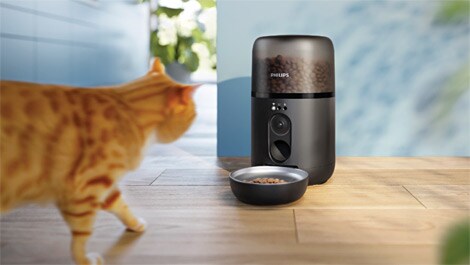 Philips TV & Sound stellt Multiroom Audio System vor | Philips